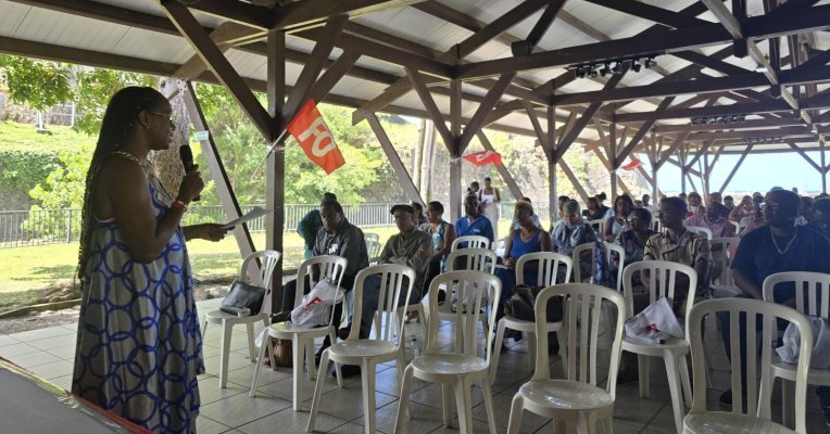 Martinique : la lutte contre la vie chère, au cœur du congrès de l’UD ...